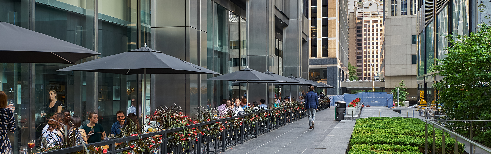 Prime Downtown Toronto Location - The Professional Centre office suites